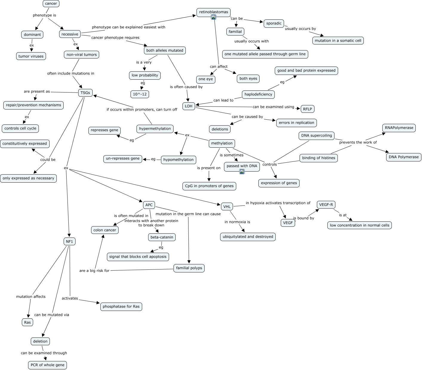 group discussion ch 7